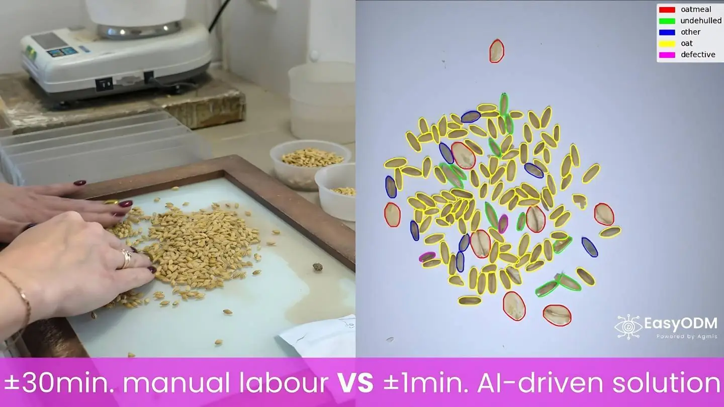 AI-Driven Automated Grain Sample Analysis - EasyODM