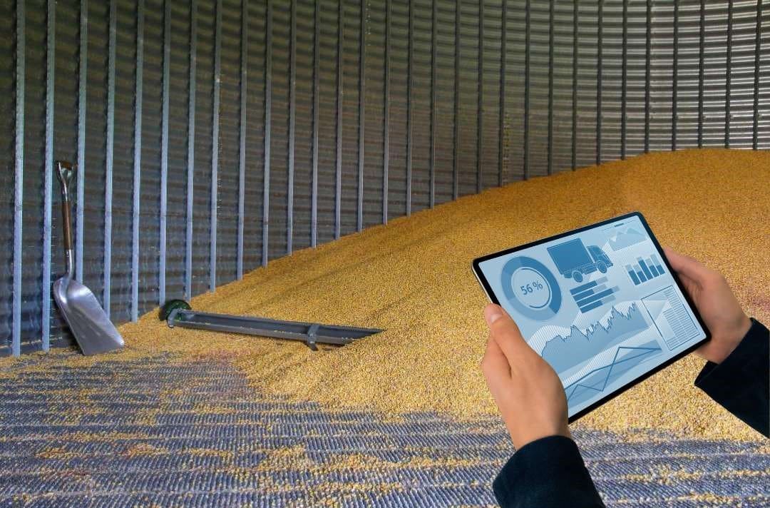 Grain Handlers: 5 Key Benefits Of Using AI Technology